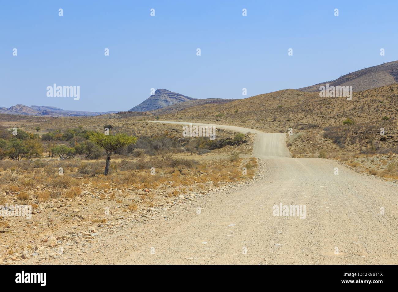 Namibian landscape along the gravel road. Yellow ground and African ...