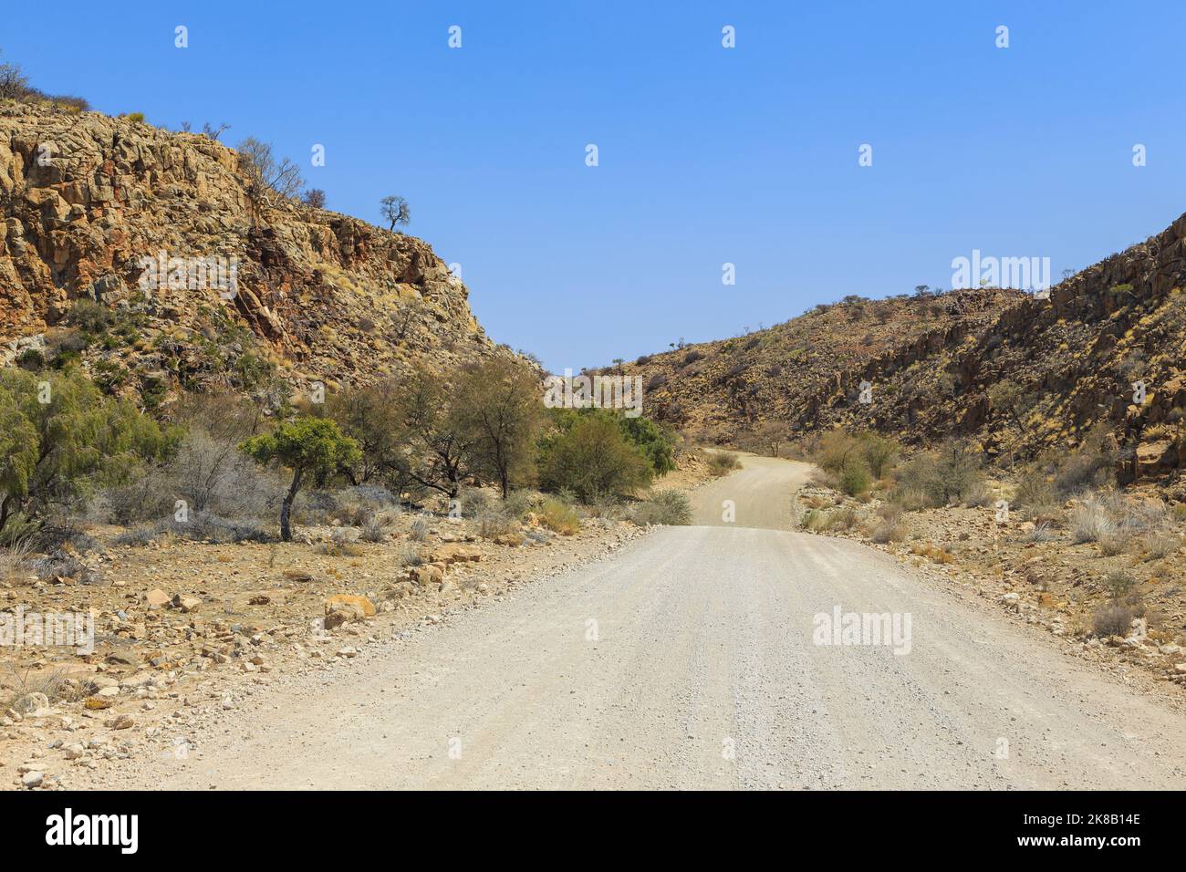 Namibian landscape along the gravel road. Yellow ground and African ...
