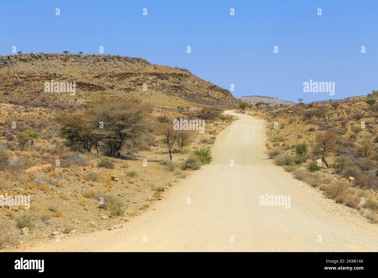 Namibian landscape along the gravel road. Yellow ground and African ...