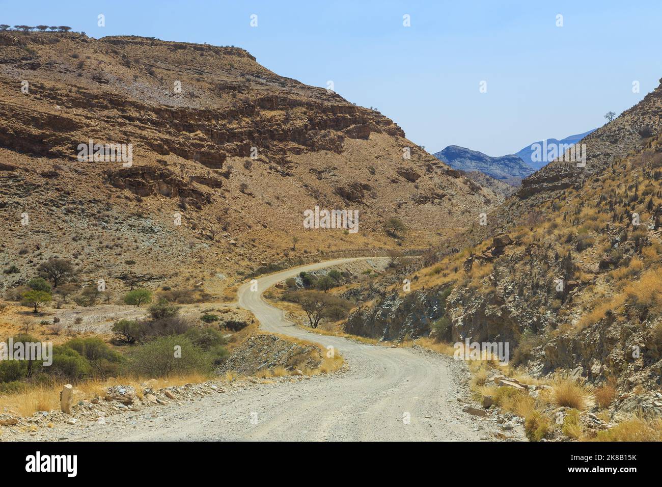 Namibian landscape along the gravel road. Yellow ground and African ...