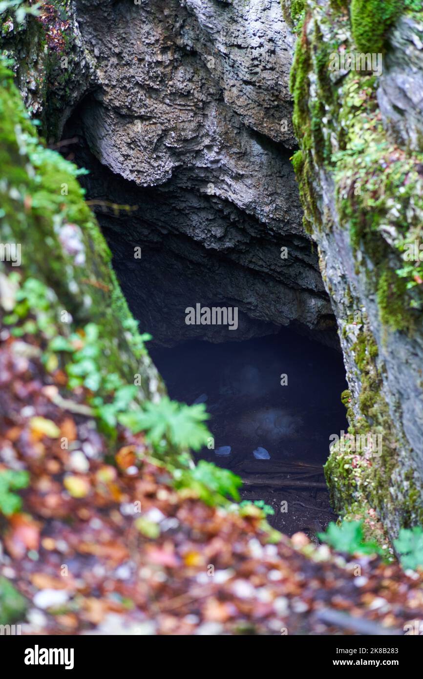 Cave entrance in a pine forest, with a large opening Stock Photo - Alamy