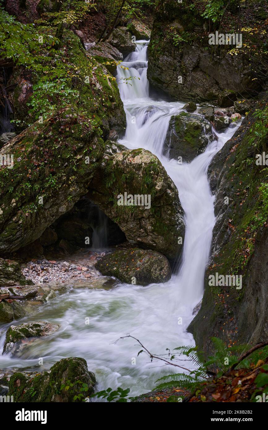 River rapids through a canyon in a mountain with lush vegetation Stock ...