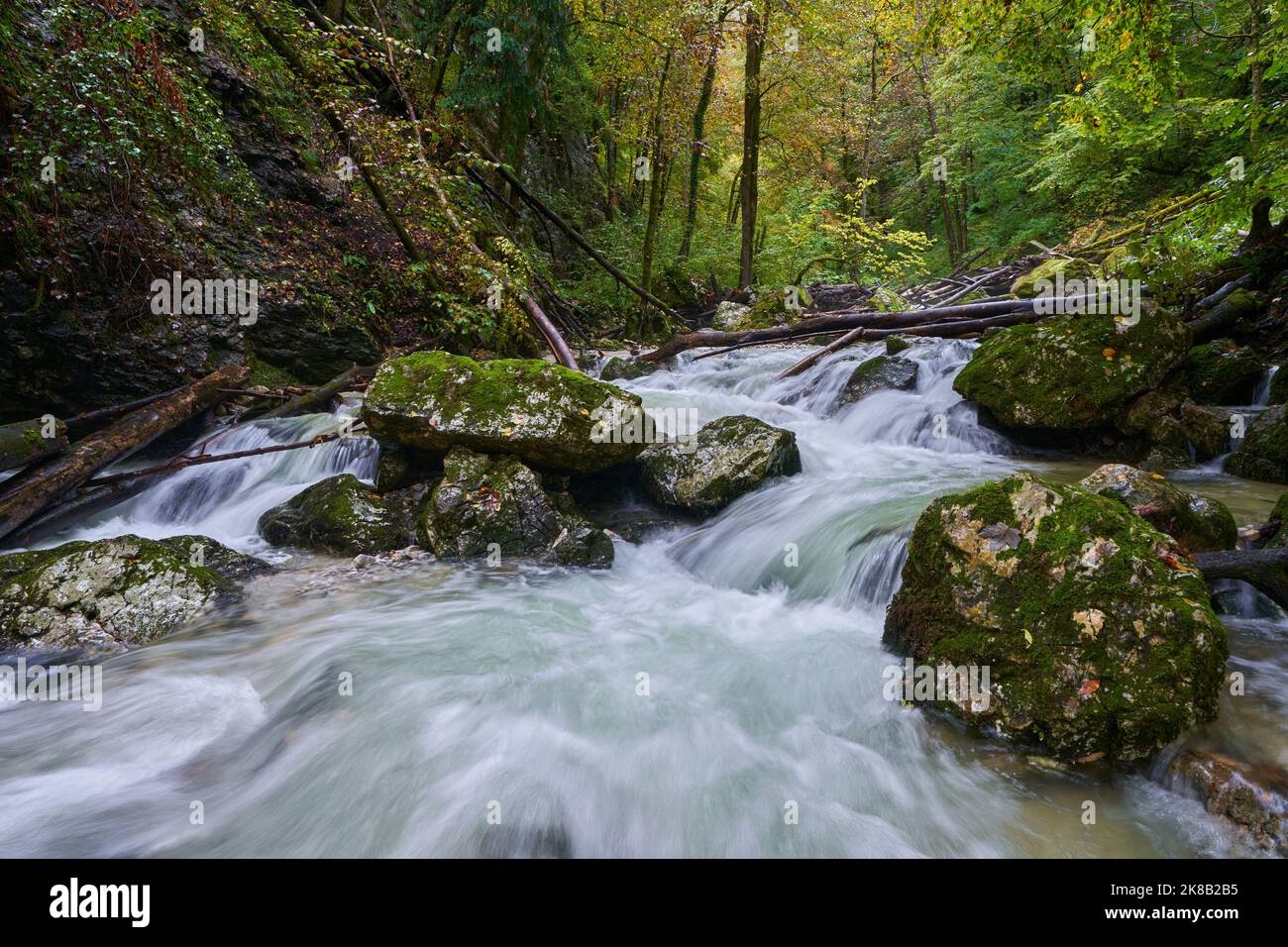 River rapids through a canyon in a mountain with lush vegetation Stock ...