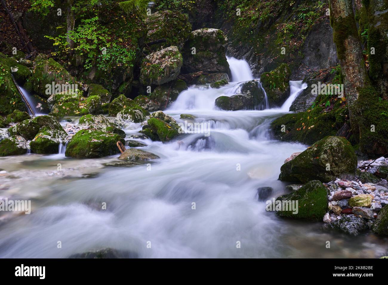 River rapids through a canyon in a mountain with lush vegetation Stock ...