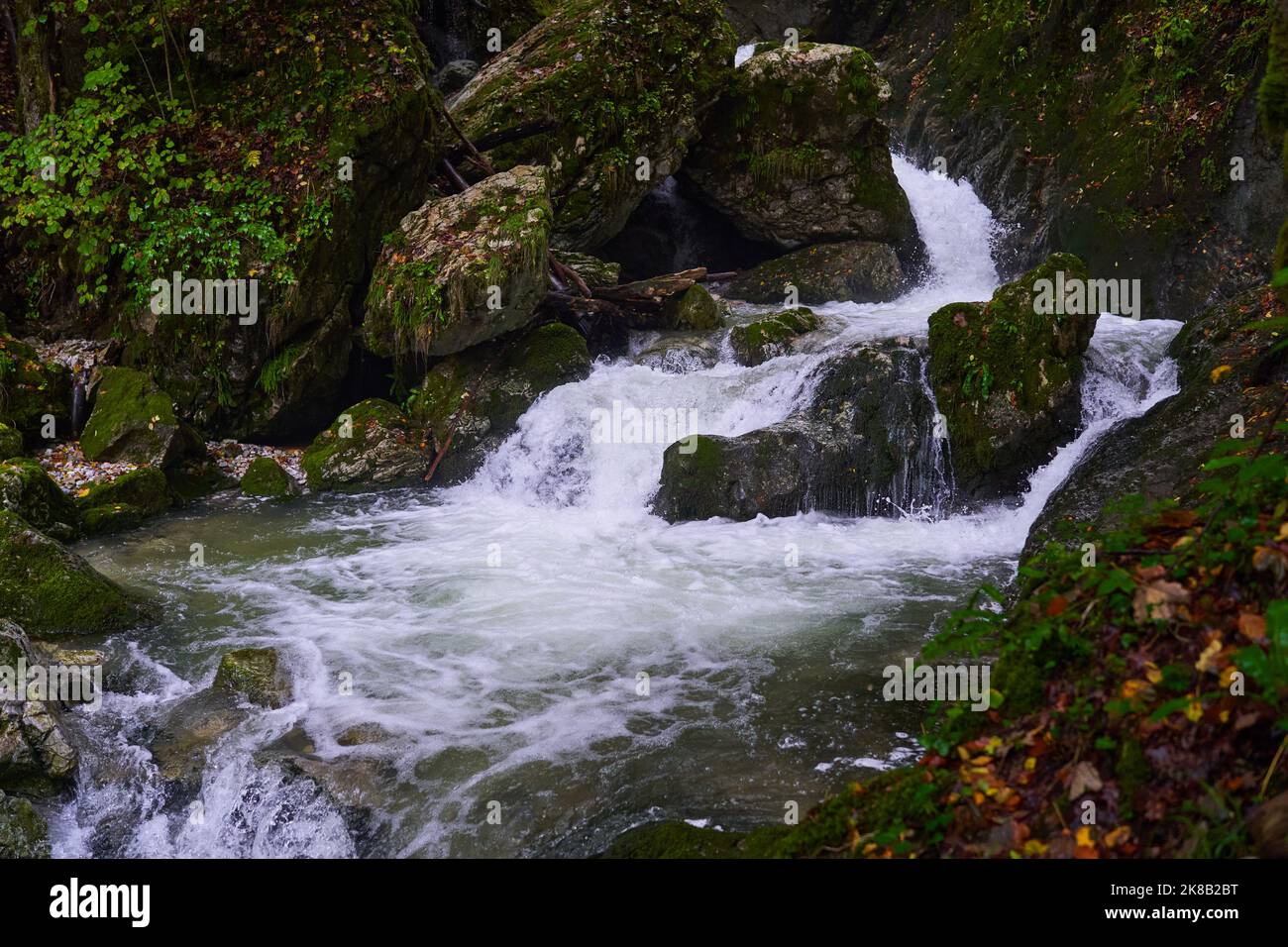 River rapids through a canyon in a mountain with lush vegetation Stock ...