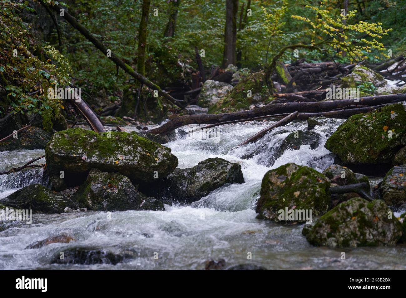 River rapids through a canyon in a mountain with lush vegetation Stock ...