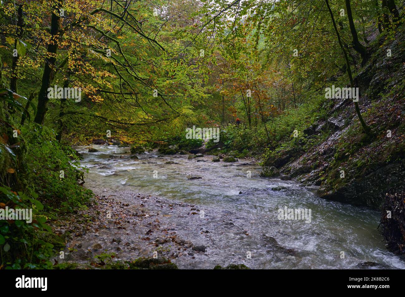 River rapids through a canyon in a mountain with lush vegetation Stock ...