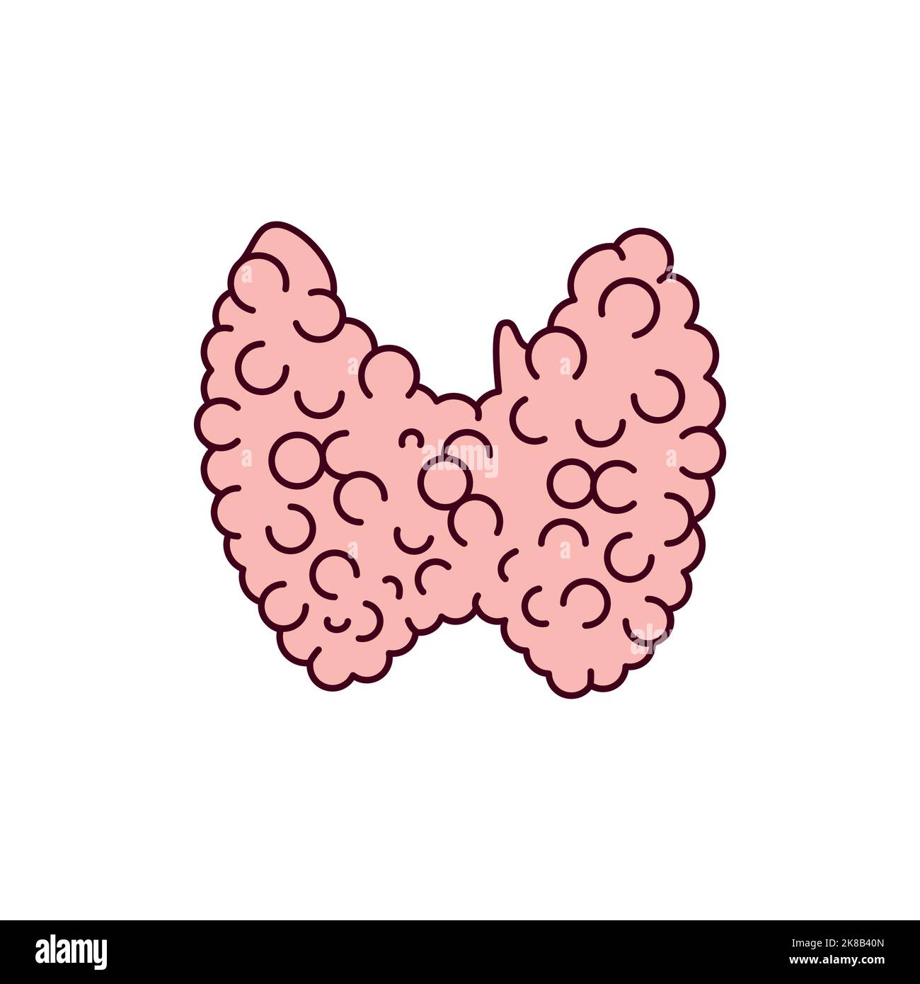 Gland thyroid color line icon. Endocrine system Stock Vector Image ...