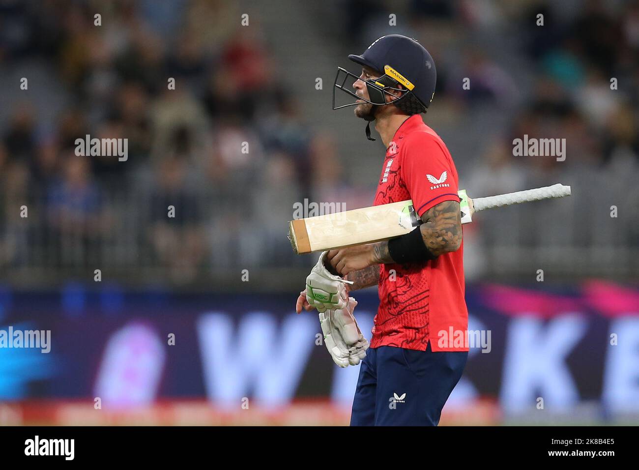 Alex hales cricket england 2022 hi-res stock photography and images - Alamy