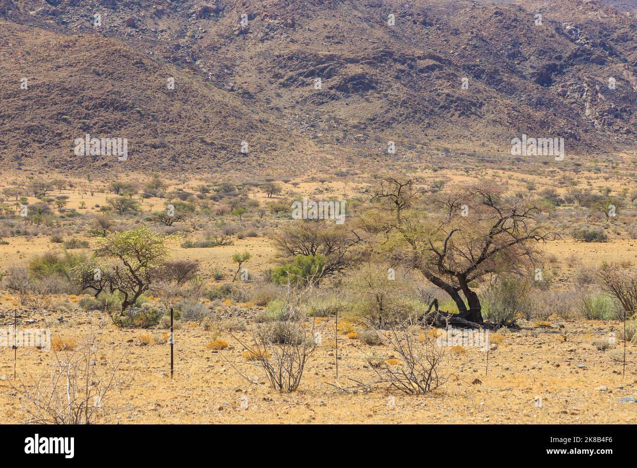 Namibian landscape. African savannah during a hot day. Mountain in the ...
