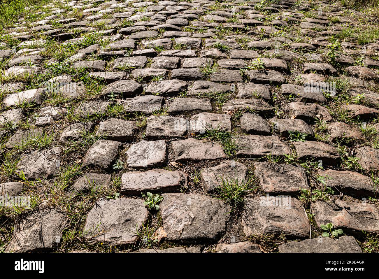 Cobblestones Paris Roubaix