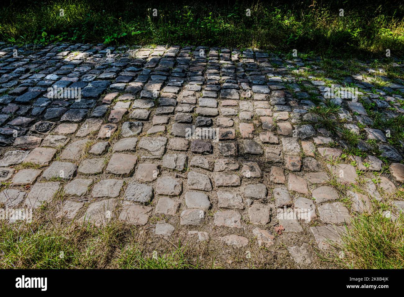 The cobbles of Paris–Roubaix, Arenberg Forrest, Wallers, Northern ...
