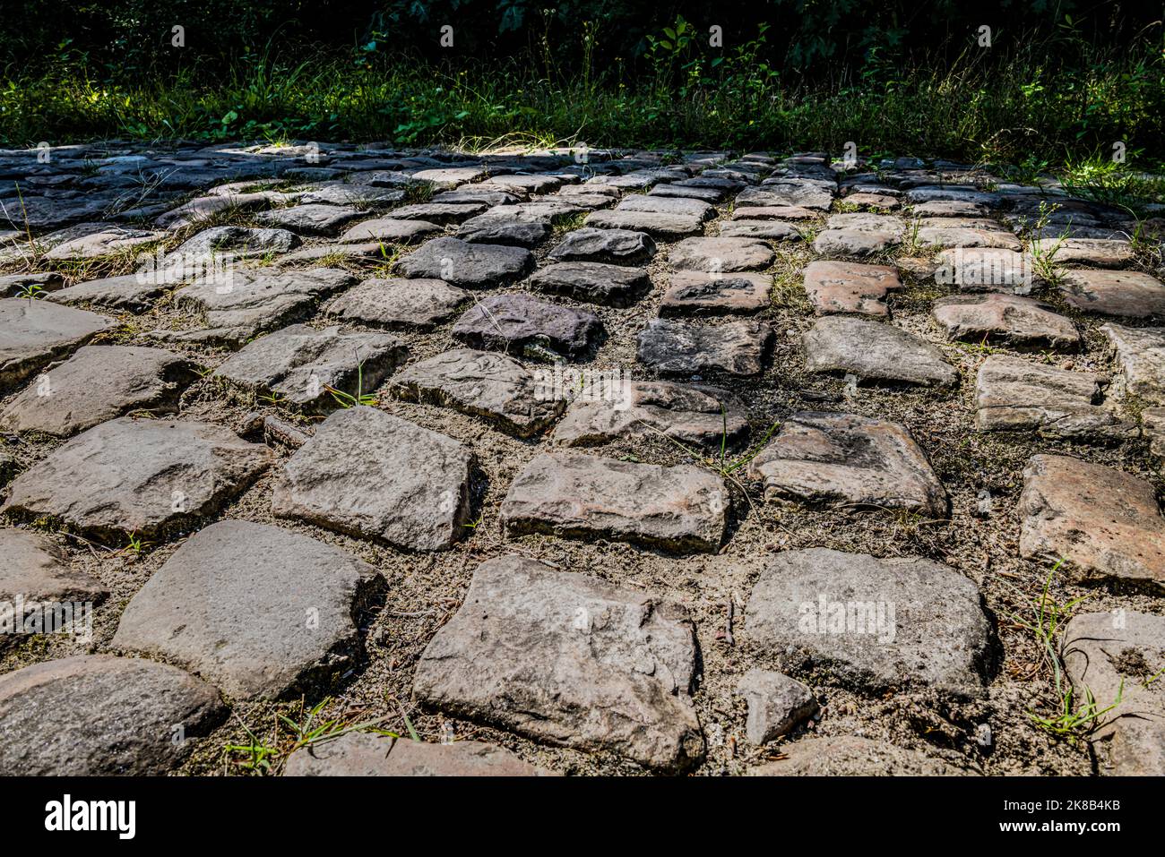 The cobbles of Paris–Roubaix, Arenberg Forrest, Wallers, Northern ...