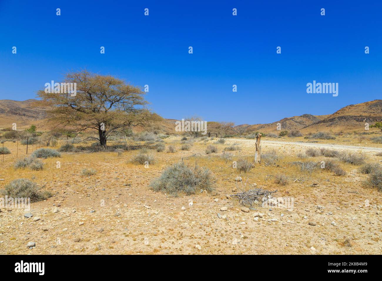 Namibian landscape. African savannah during a hot day. Mountain in the ...