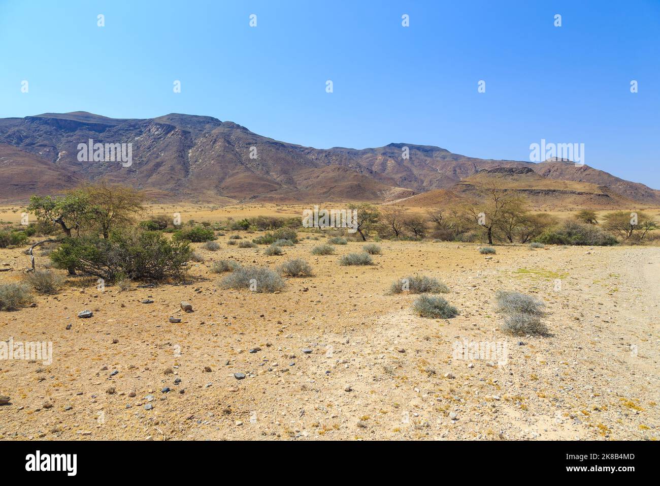 Namibian landscape. African savannah during a hot day. Mountain in the ...