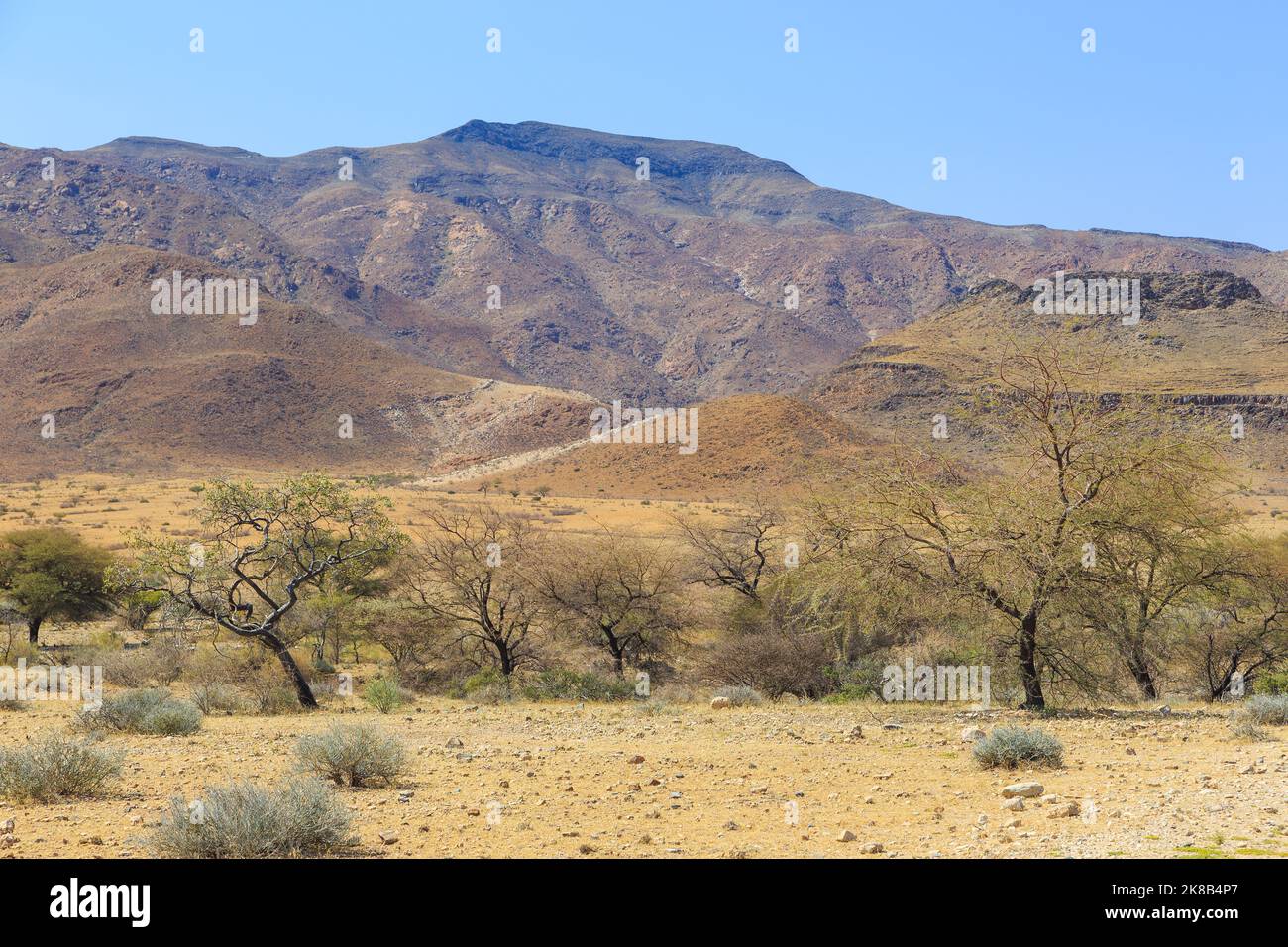 Namibian landscape. African savannah during a hot day. Mountain in the ...