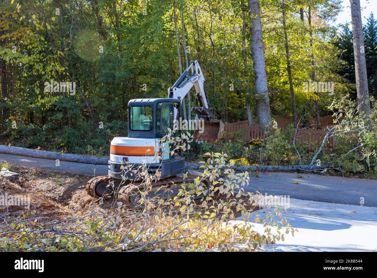 Fallen tree after storm damaged fence after hurricane an uprooted trees ...
