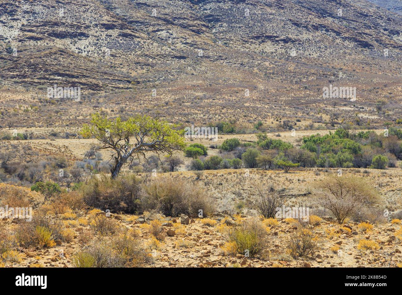 Namibian landscape. African savannah during a hot day. Mountain in the ...
