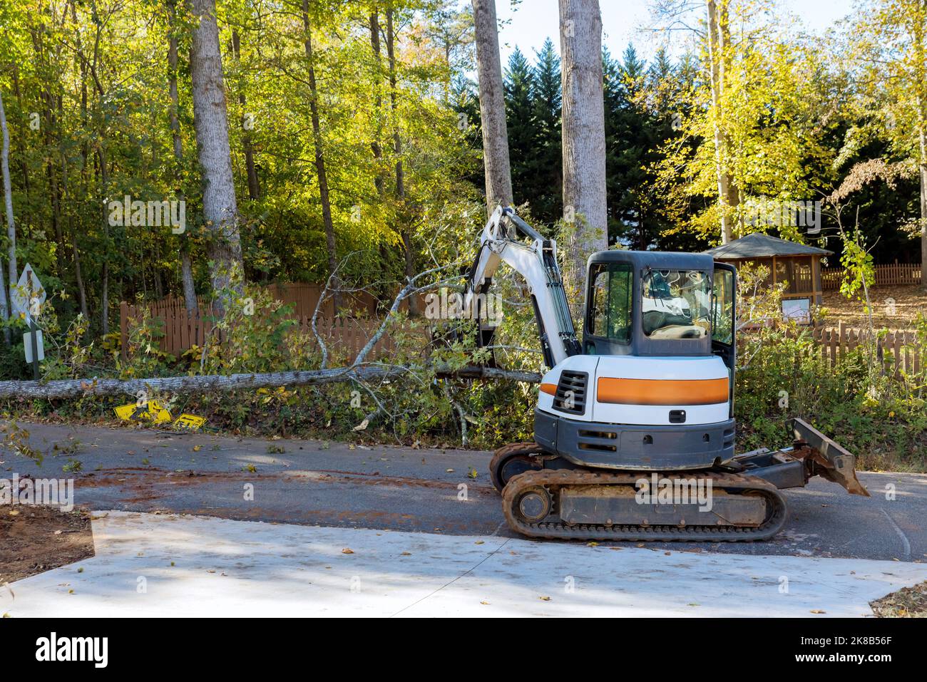 Fallen tree after storm damaged fence after hurricane in uprooted trees ...