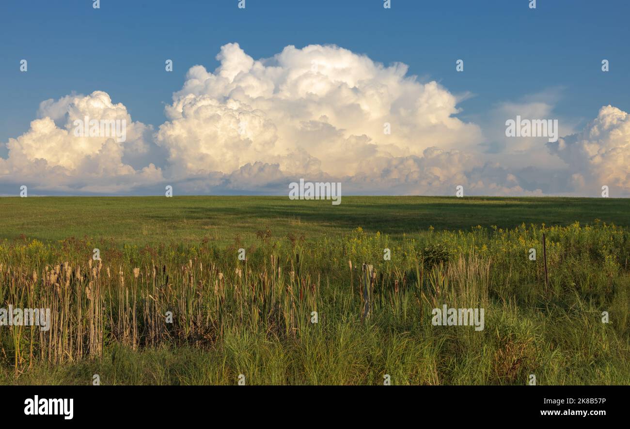 Large, puffy clouds over a farmer's field in northern Wisconsin Stock ...