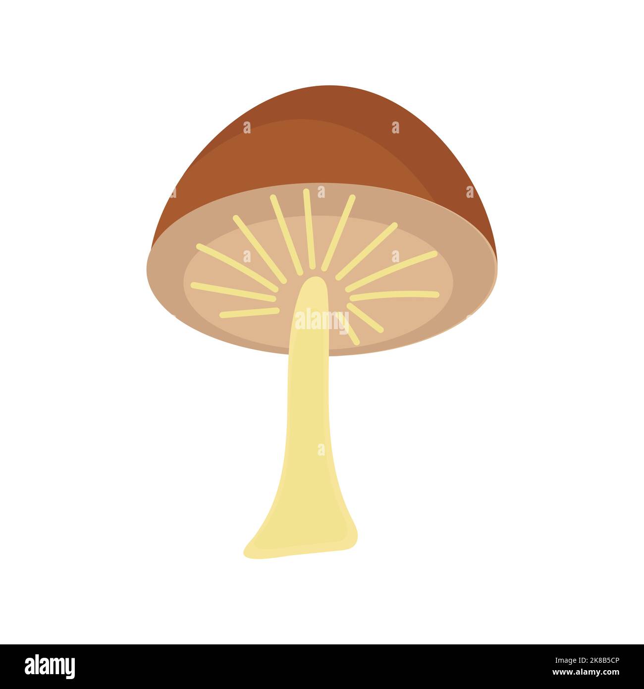 Mushroom vector illustration icon isolated white background. Nature ...