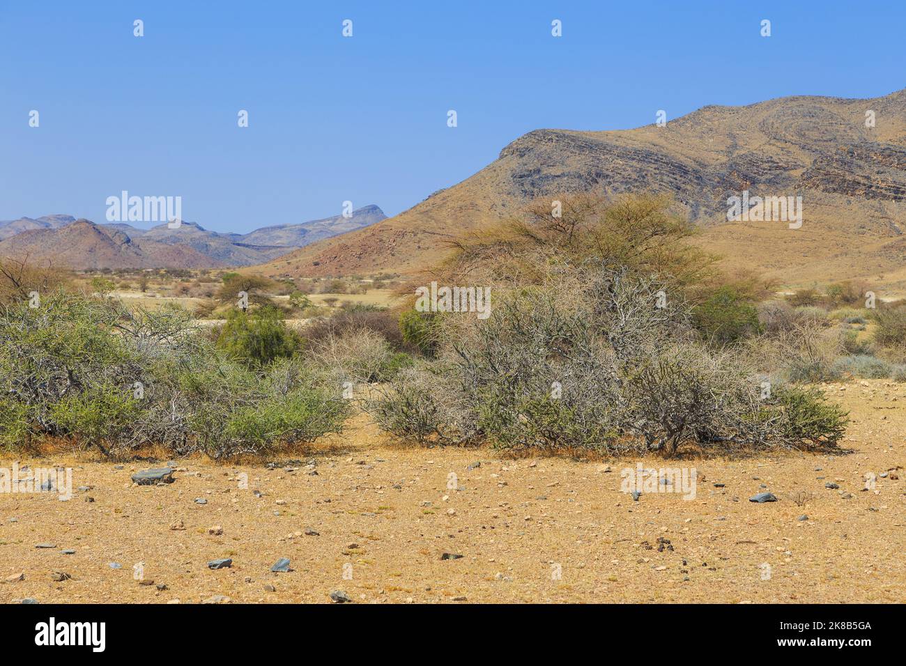 Namibian landscape. African savannah during a hot day. Mountain in the ...