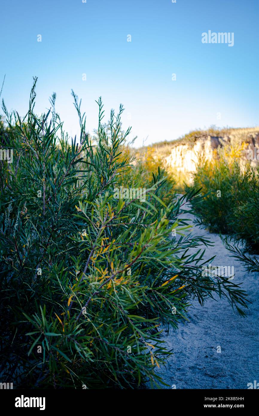 Photo taken in Paint Mines Interpretive Park in the Eastern Plains of ...