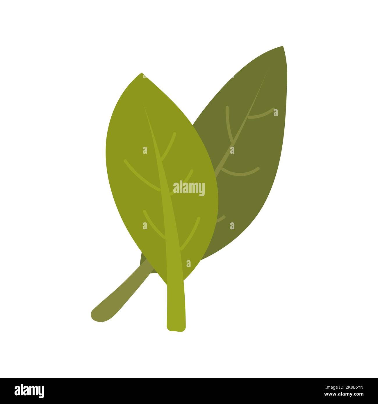 Autumn leaf fall icon and season nature vector illustration. October ...