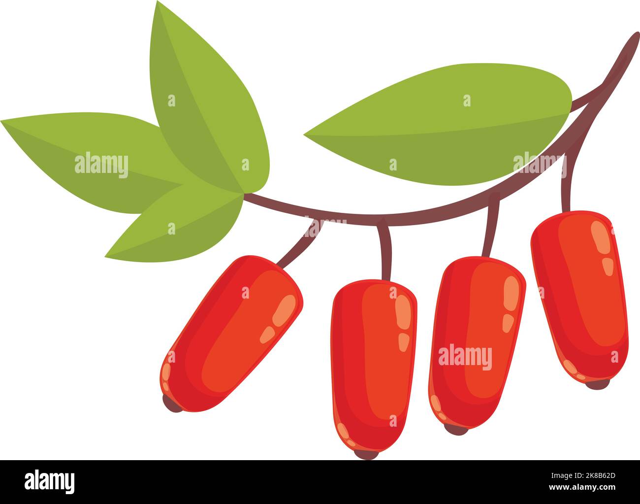 Berberine plant hi-res stock photography and images - Alamy