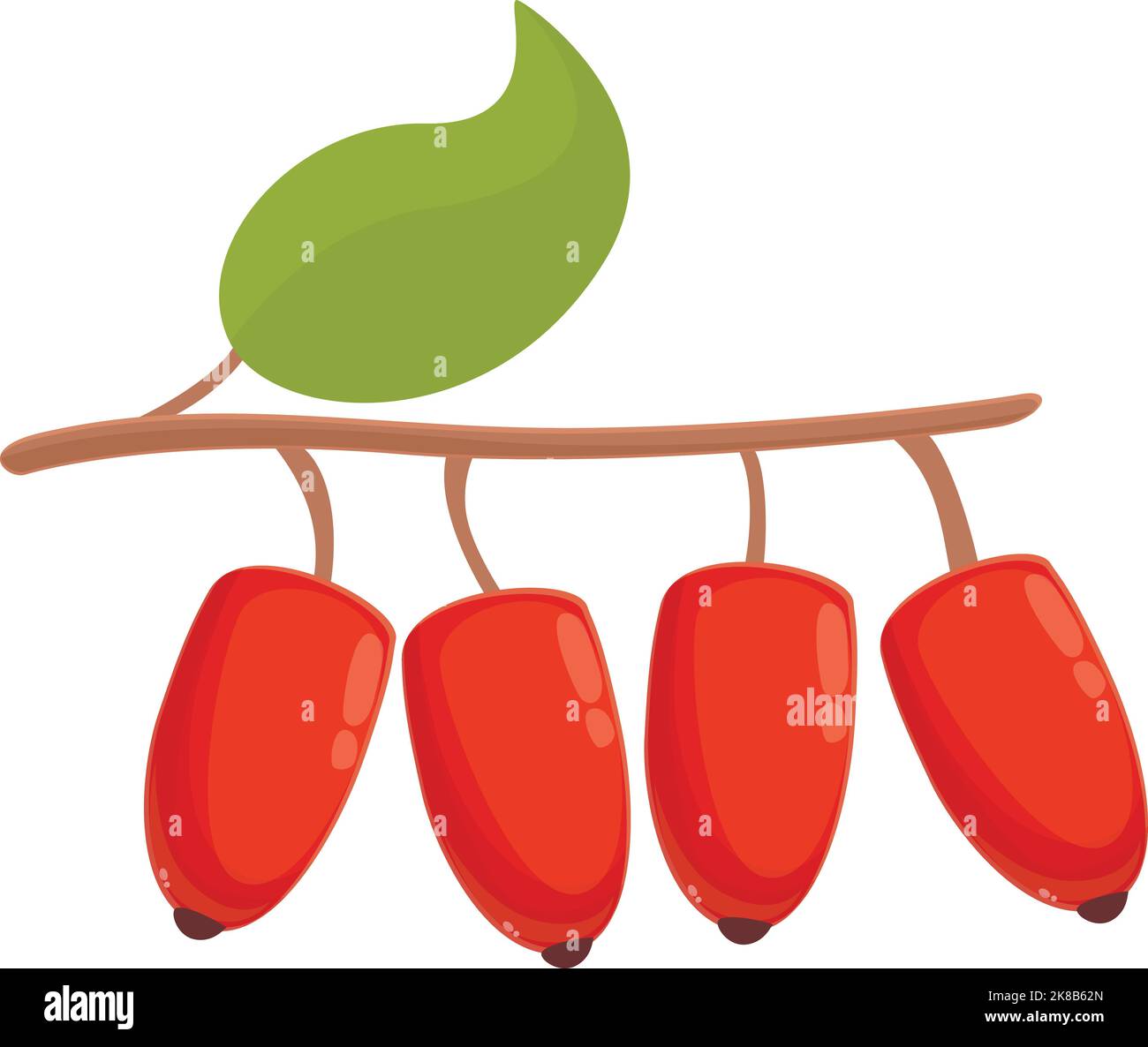 Leaf goji icon cartoon vector. Organic food. Berberis fruit Stock ...