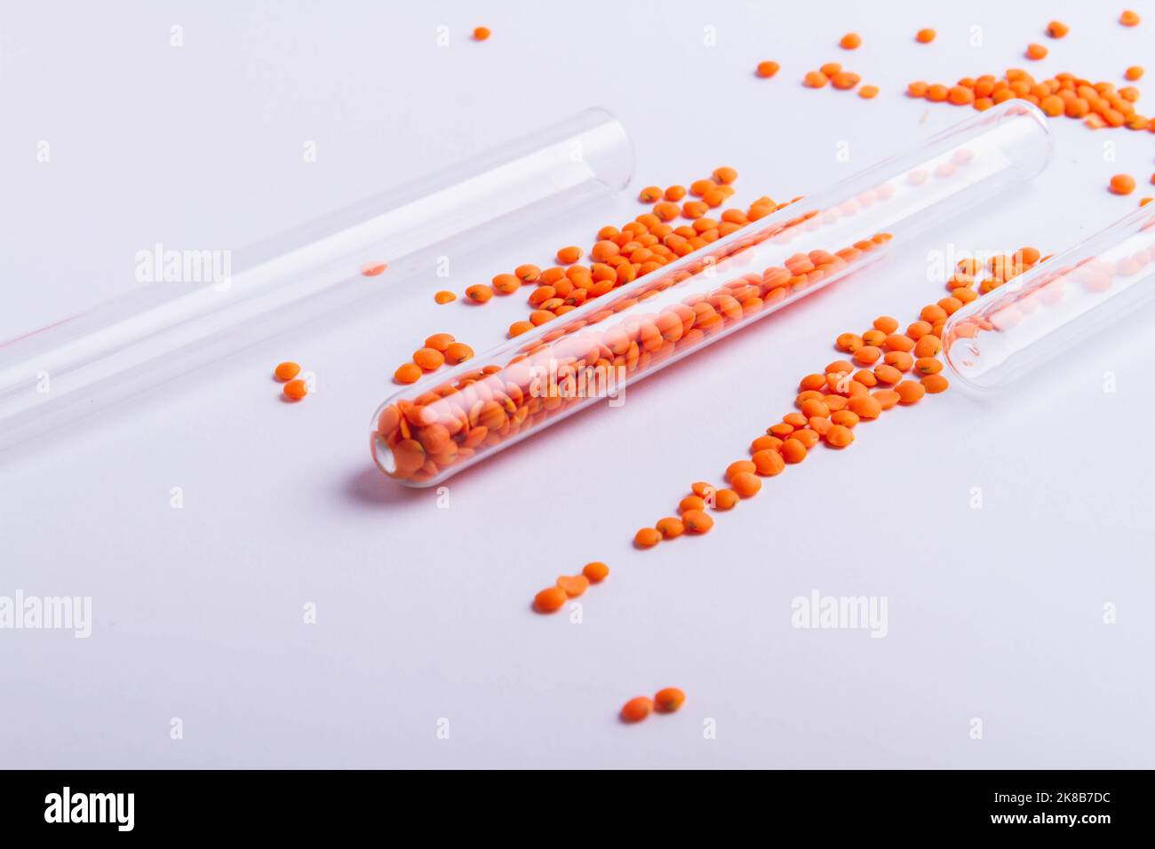 Germination of seeds in the laboratory. Selection and suitability test ...