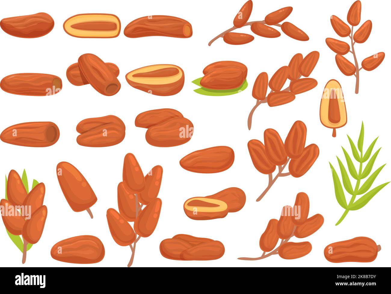 Date fruit icons set cartoon vector. Leaf food. Branch dried Stock ...