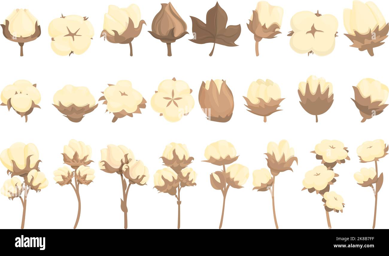 Cotton icons set cartoon vector. Fabric flower. Soft bud Stock Vector ...