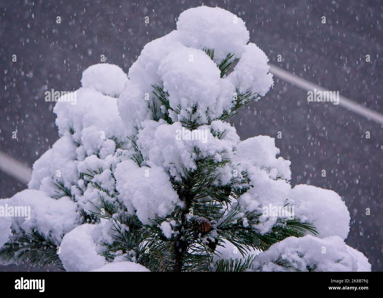 Calgary snowstorm hi-res stock photography and images - Alamy