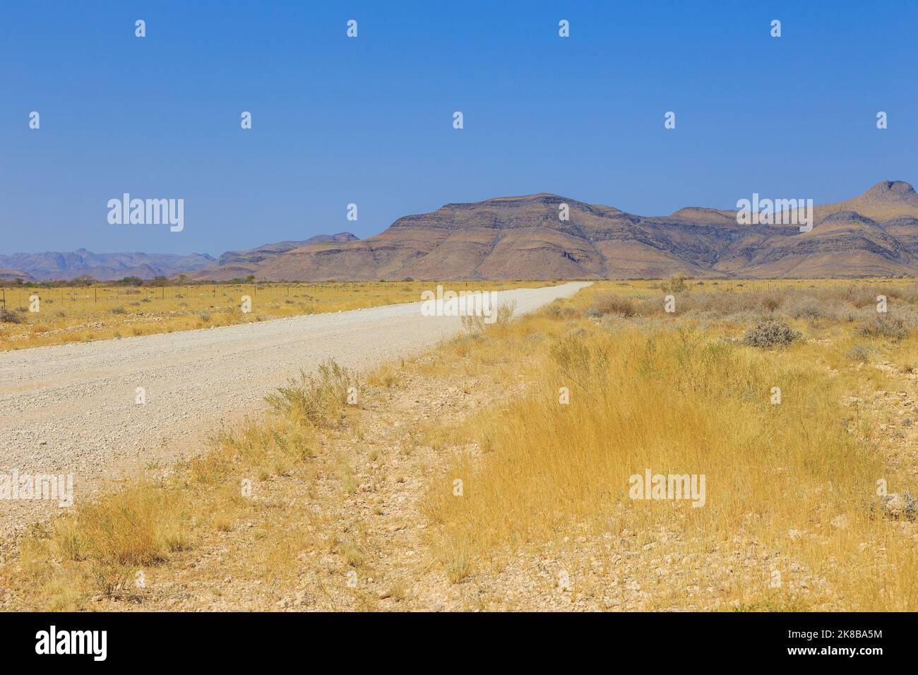 Namibian landscape along the gravel road. Yellow ground and African ...