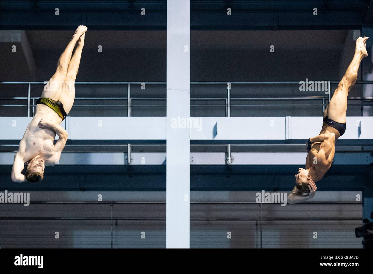 22 October 2022, Berlin: Water diving: World Cup, decisions ...