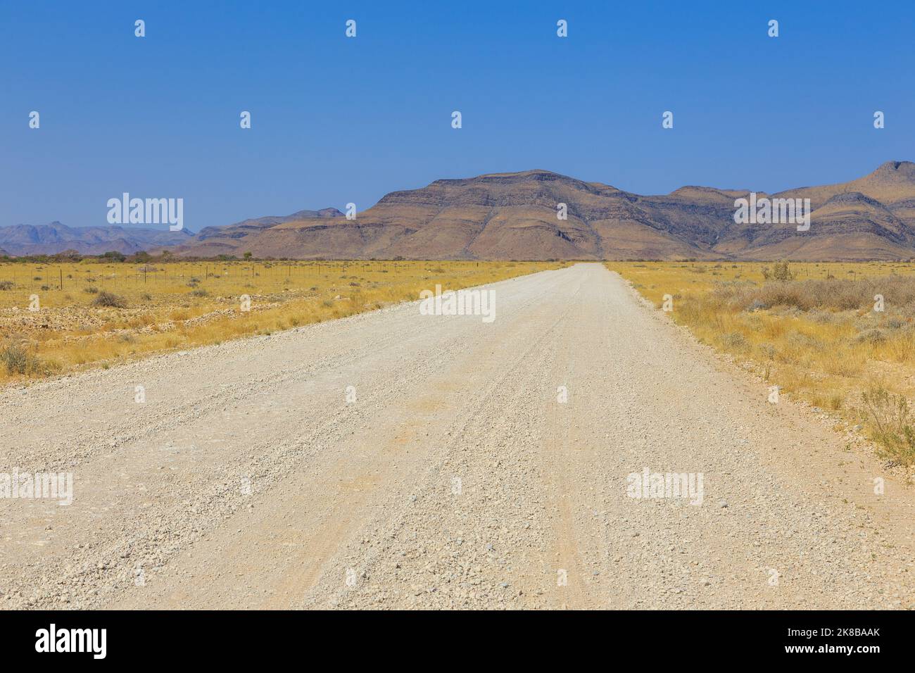 Namibian landscape along the gravel road. Yellow ground and African ...