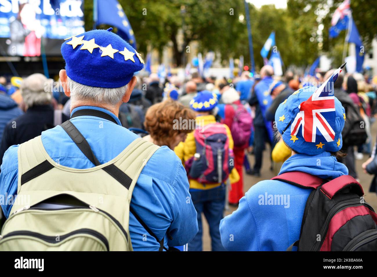 Rejoining the eu hi-res stock photography and images - Alamy