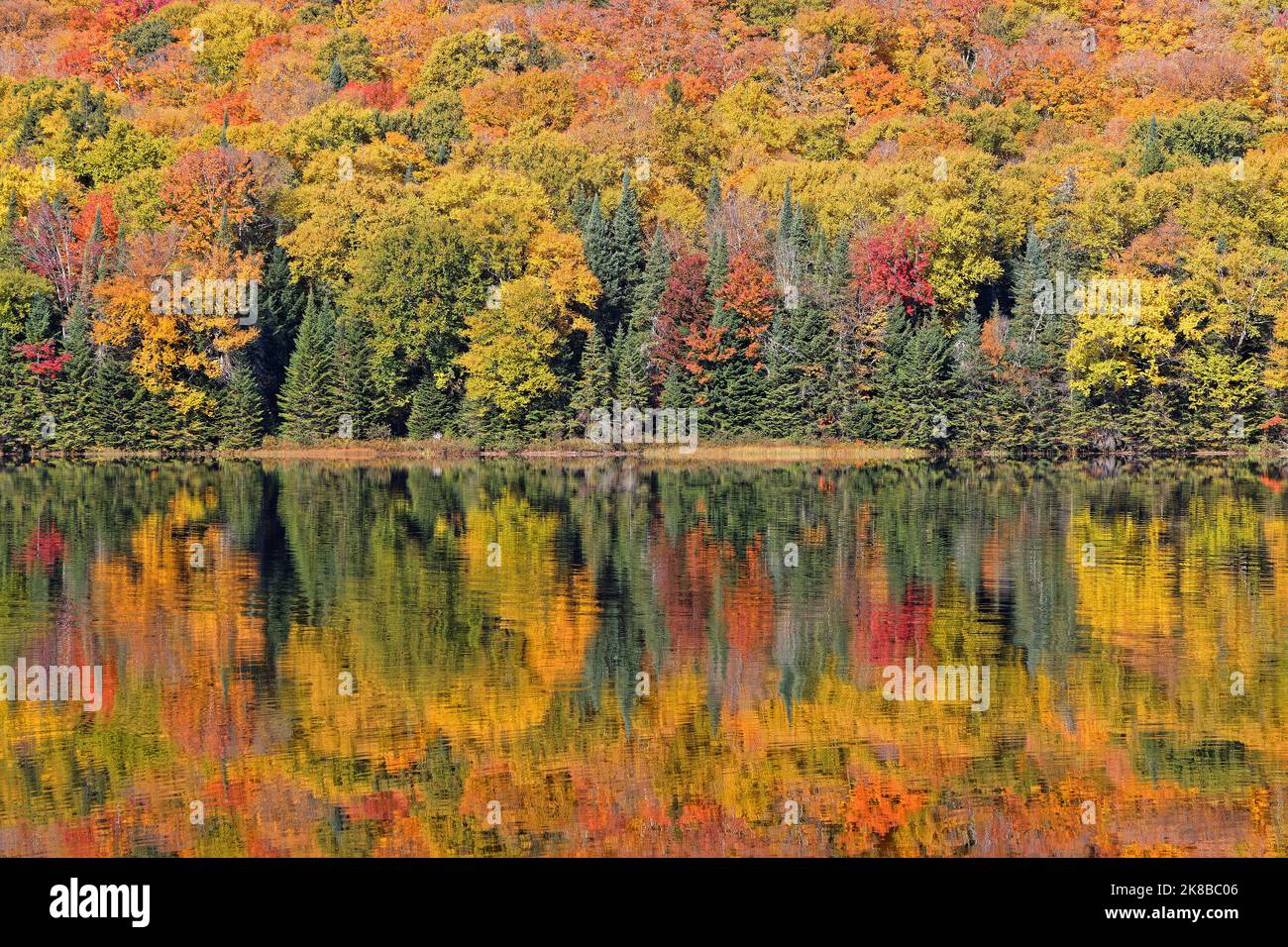 Perfect reflections of fall colors at Monroe Lake, Mont-Tremblant ...