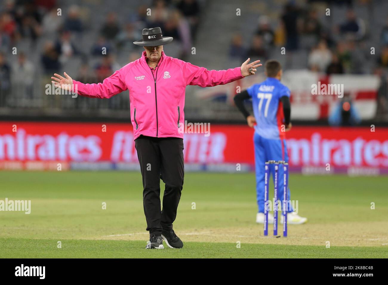 Cricket umpire signals hi-res stock photography and images - Alamy