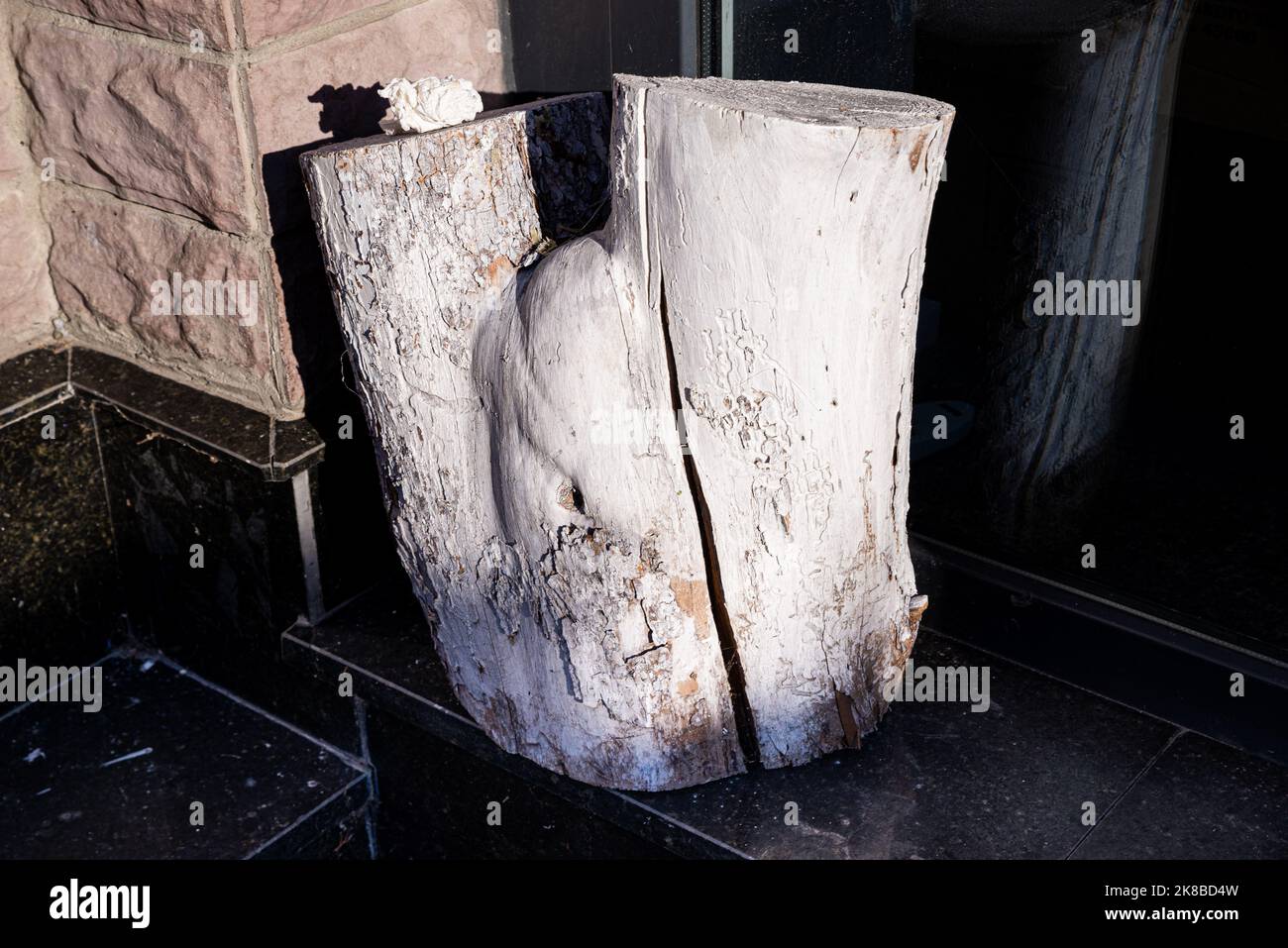 a piece of old dry log of wood stands on gray asphalt and green grass ...