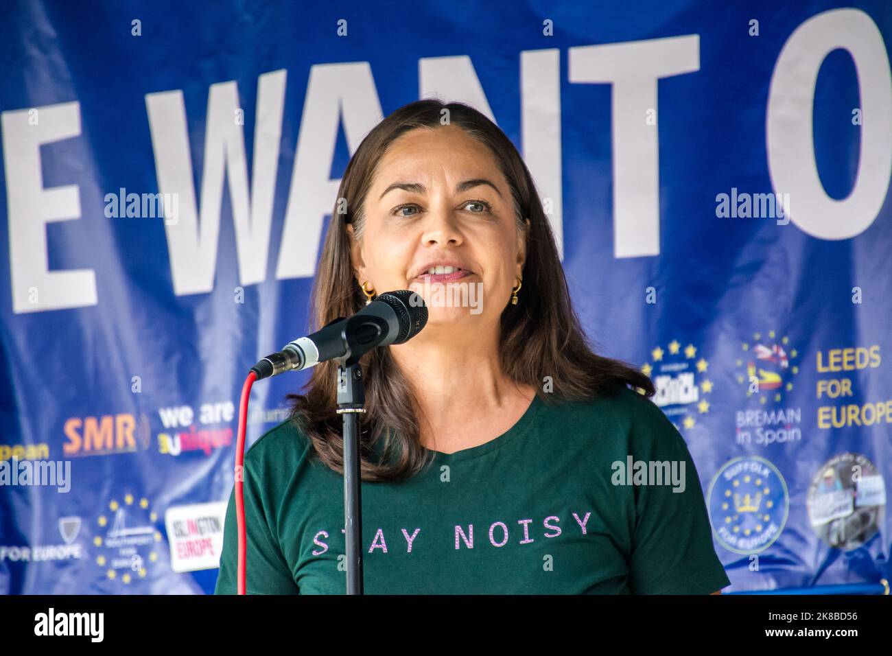 Independent anti brexit campaigner hi-res stock photography and images ...
