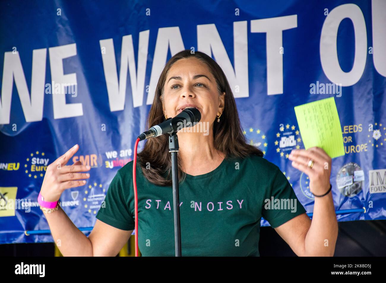 Independent anti brexit campaigner hi-res stock photography and images ...