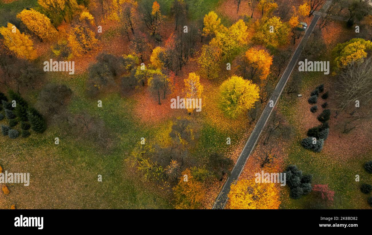 Autumn city park. Trees with colorful leaves. A cycle path winds ...