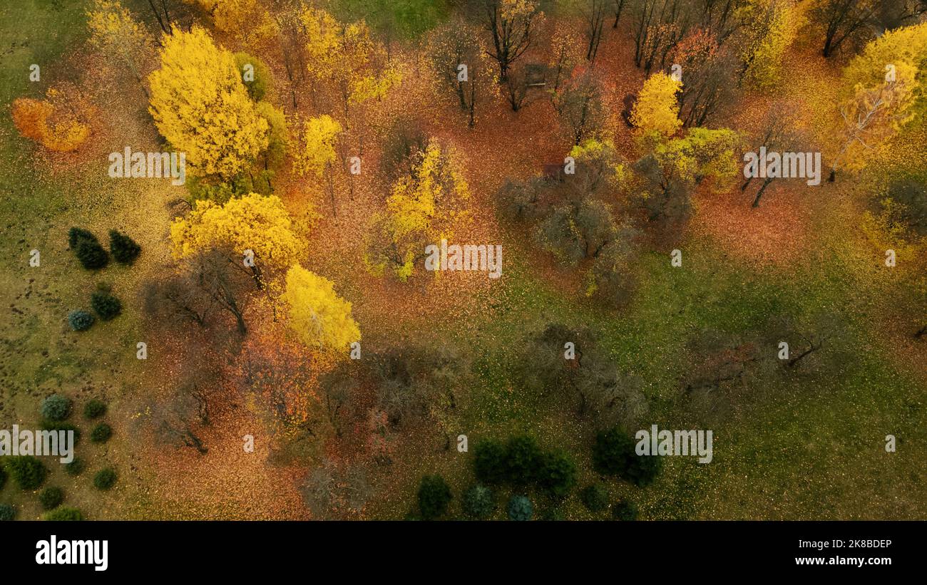 Autumn city park. Trees with colorful leaves. Autumn landscape. Aerial ...