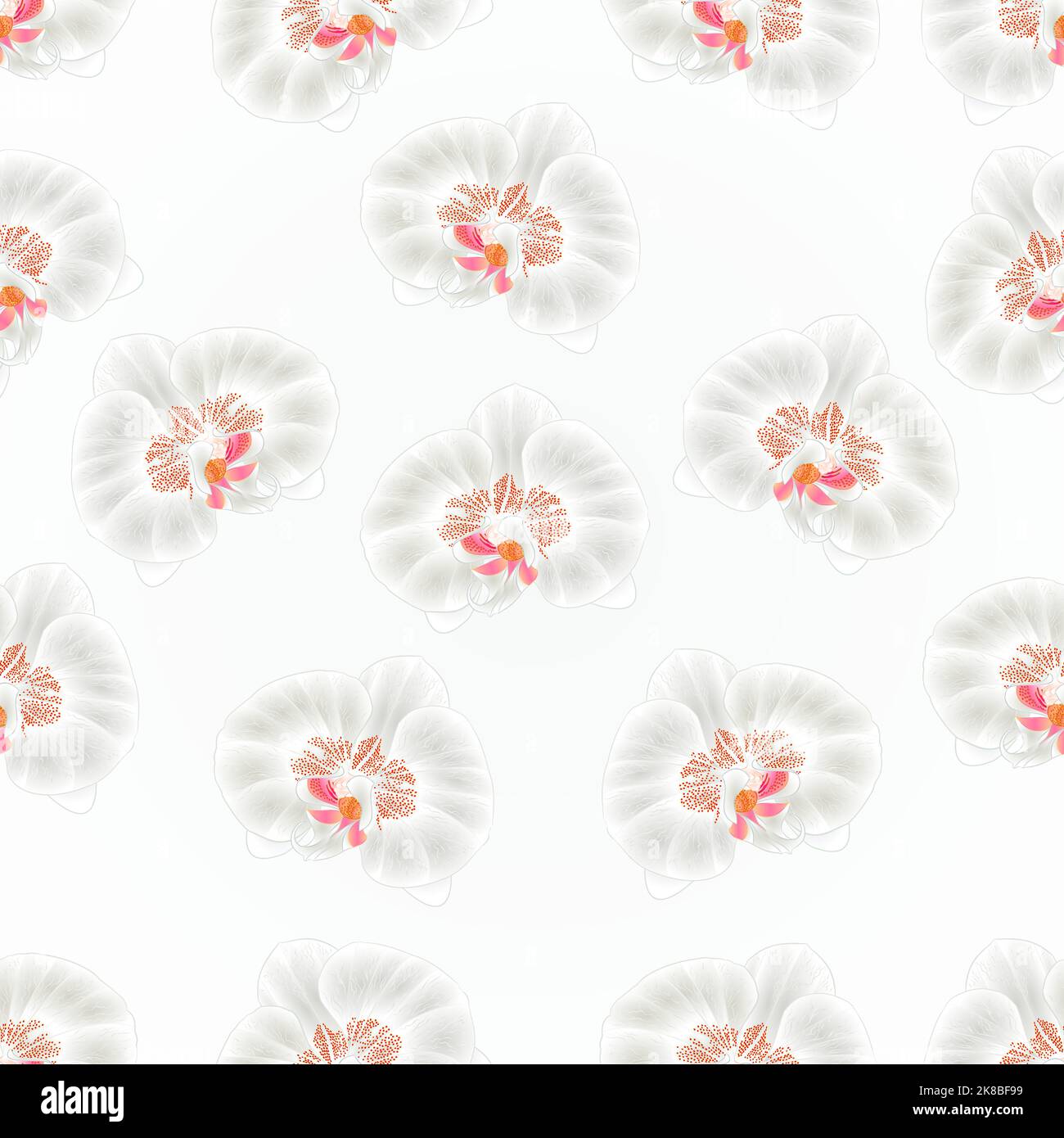 Seamless texture beautiful orchid Cut Out Stock Images & Pictures - Alamy