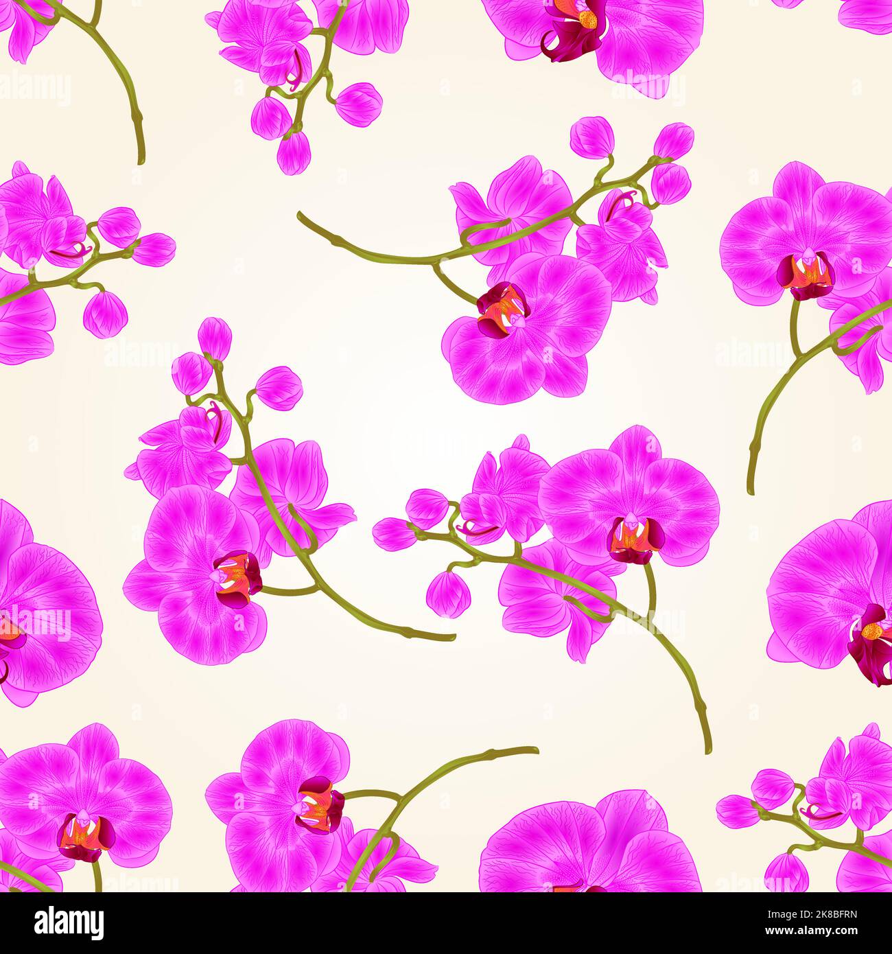 Seamless Texture Branches Orchid Phalaenopsis Purple Flowers Tropical