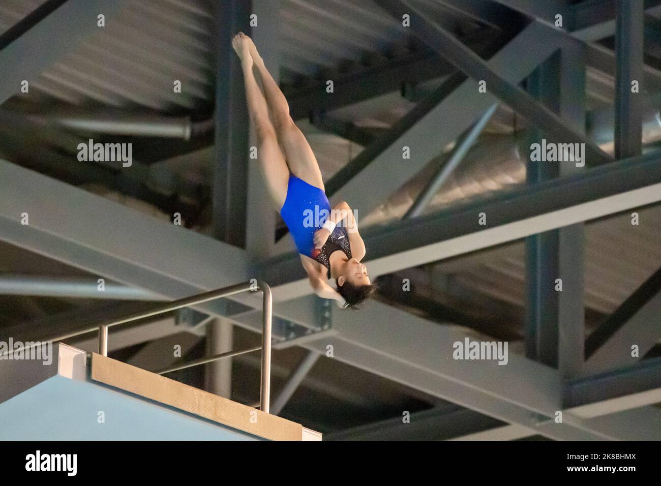 Berlin, Germany. 22nd Oct, 2022. Water diving: World Cup, decisions ...