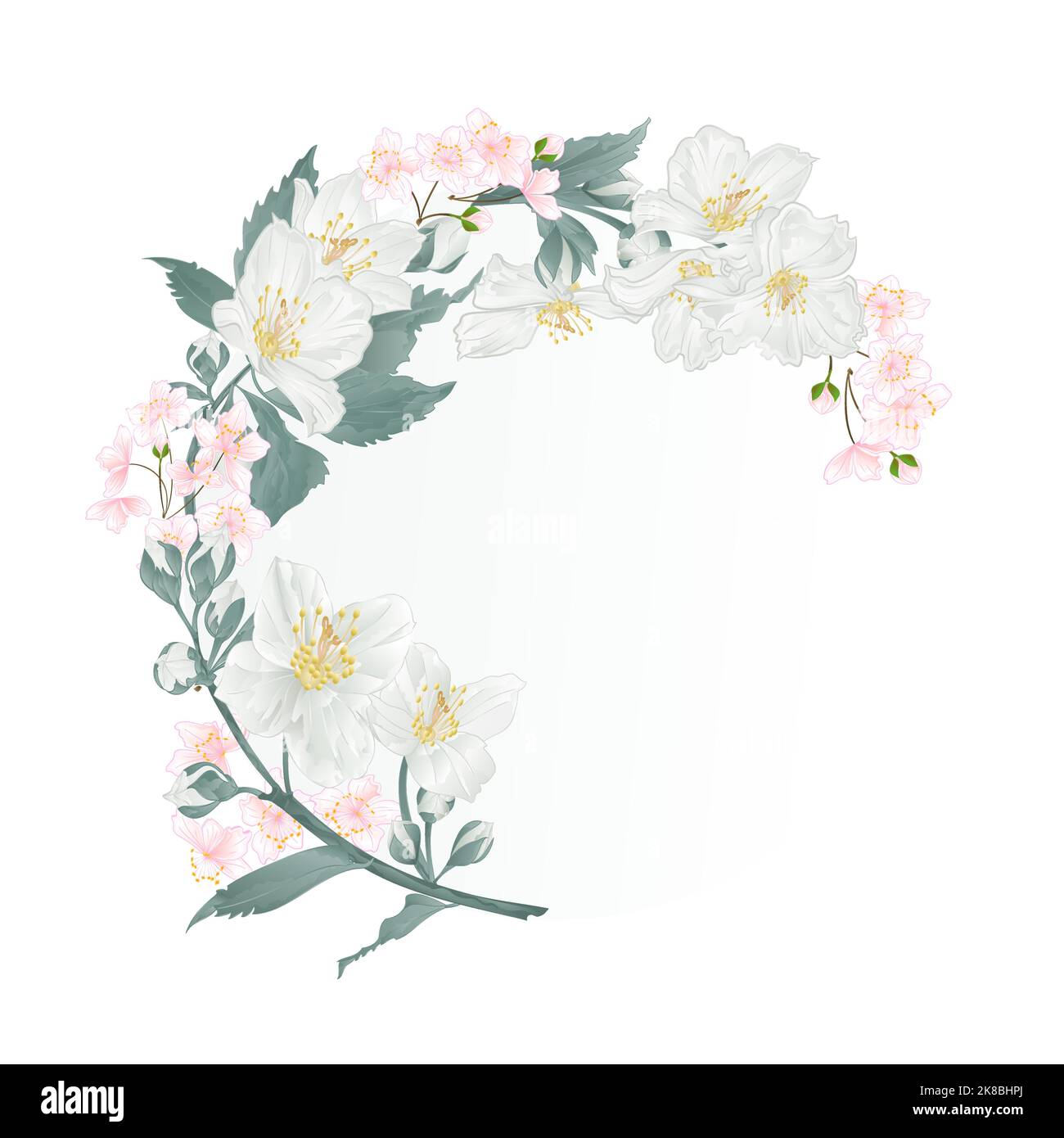 Floral round frame with Jasmine and buds vintage festive background vector illustration editable ...
