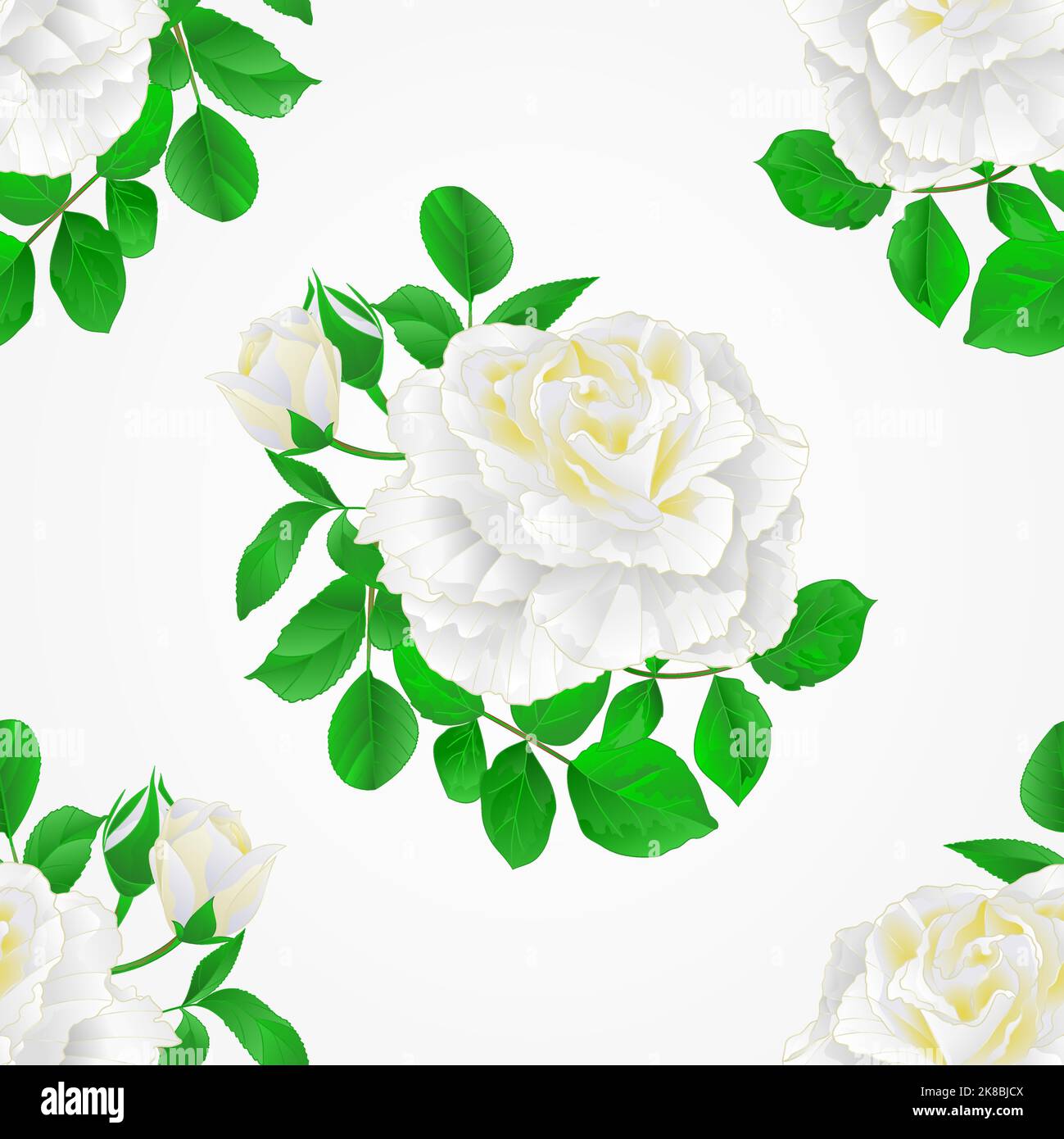 Seamless texture white Rose with buds and leaves vintage Festive ...